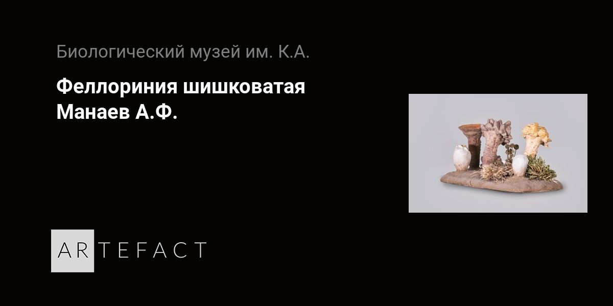 Phellorinia herculeana - Anatoliy Manayev. Подробное описание экспоната ...